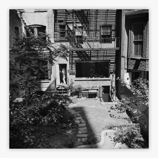 Rear Window Shoot Classic Photo Prints