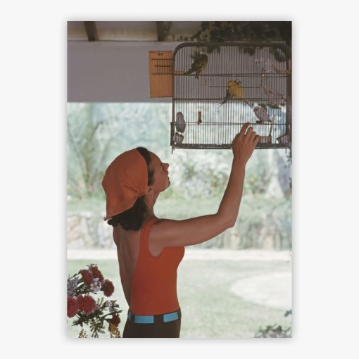Woman With Caged Birds Classic Photo Prints